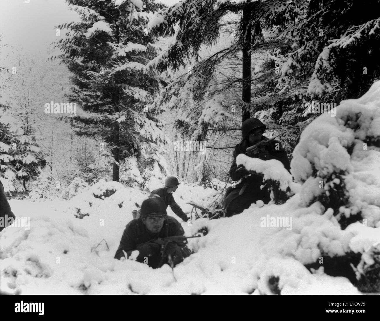 Wwii fight belgium ardennes forest hi-res stock photography and images ...