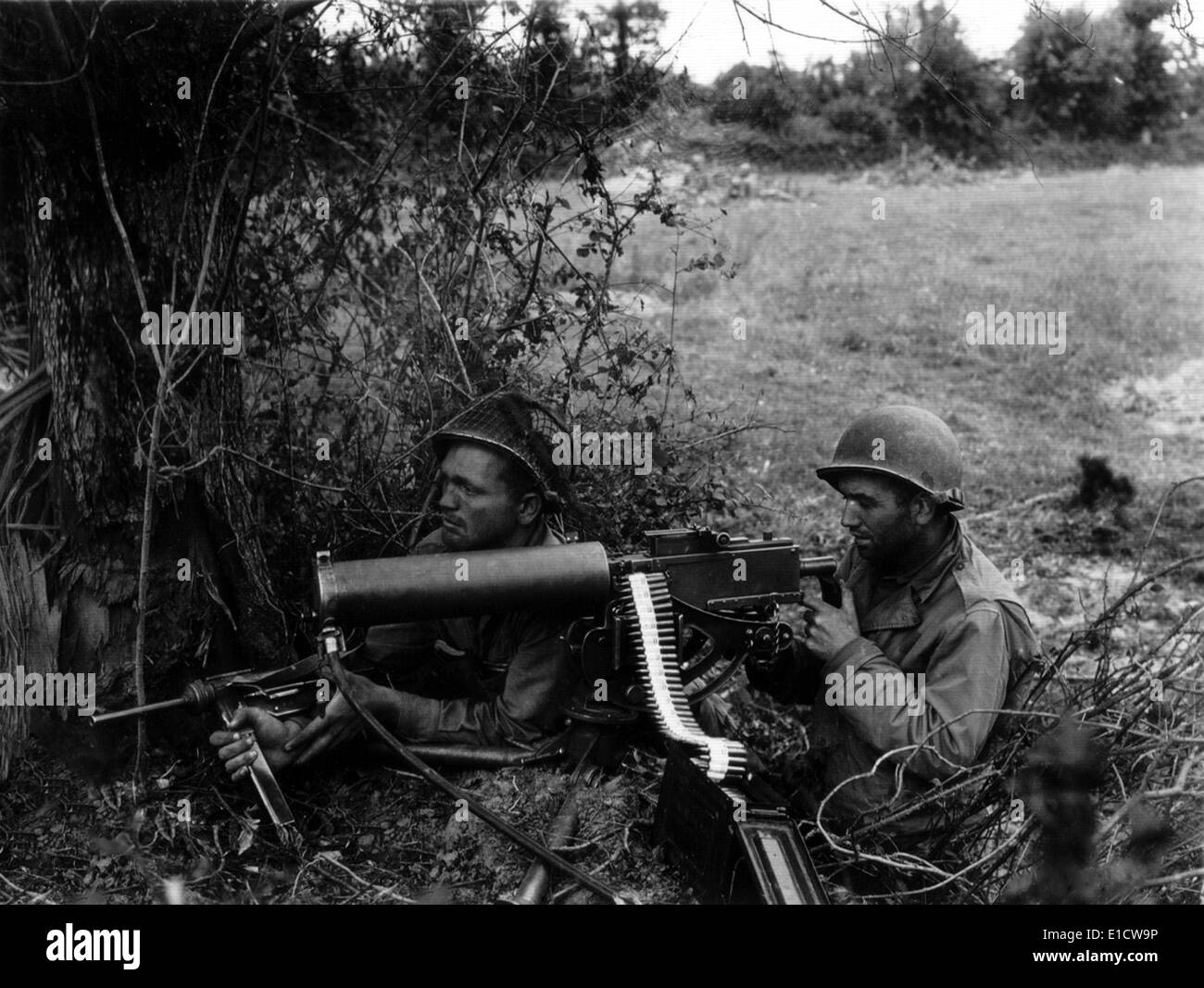 Normandy hedgerows hi-res stock photography and images - Alamy