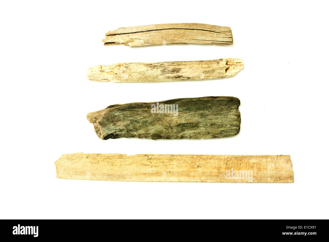chunks of different parts of beach drift wood Stock Photo - Alamy