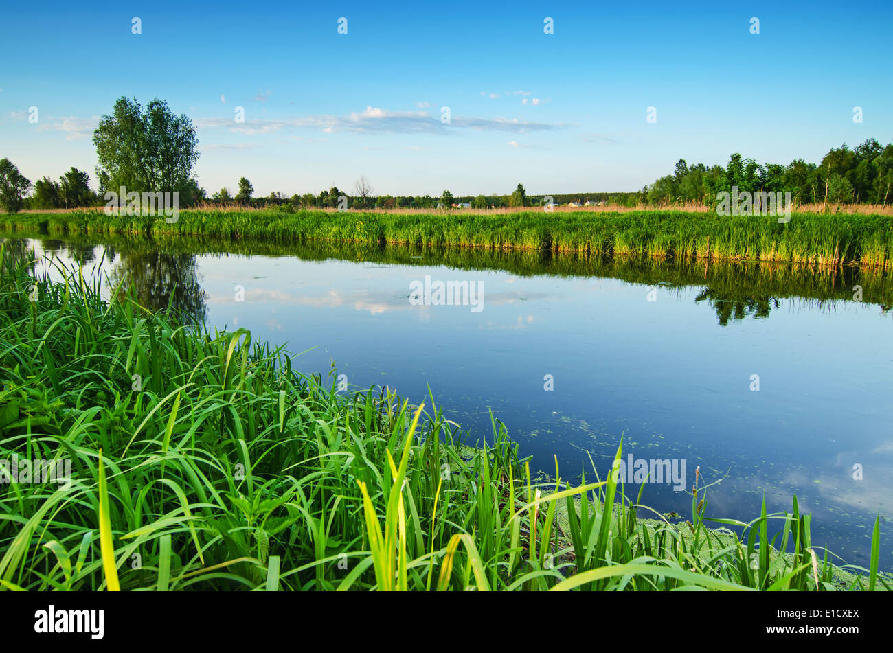 Rural summer landscape with river Stock Photo - Alamy