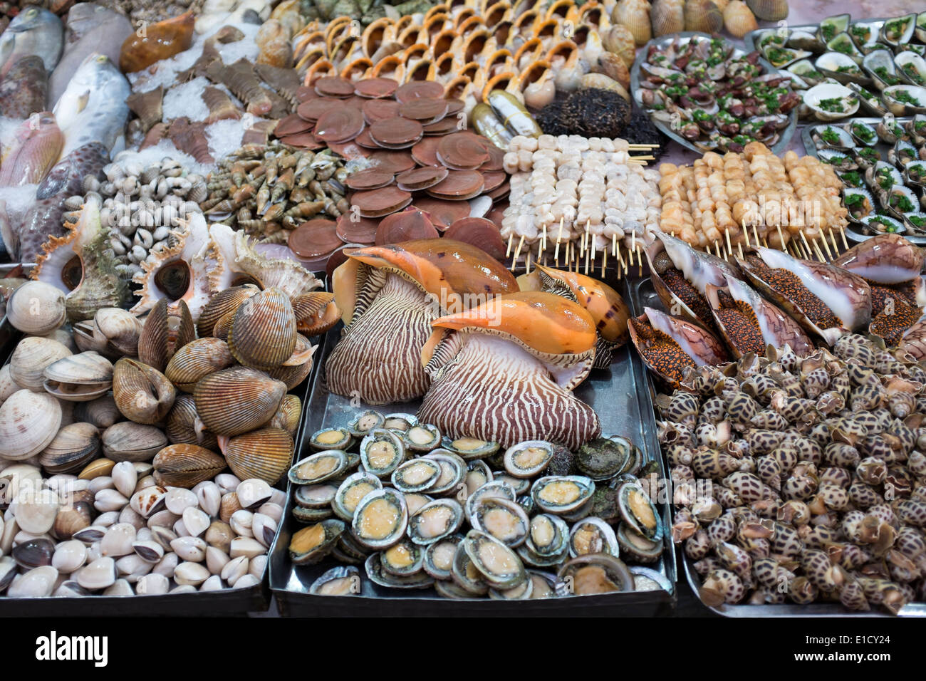 Shellfish Display at Dinh Cau Night Market in Duong Dong on Phu Quoc ...