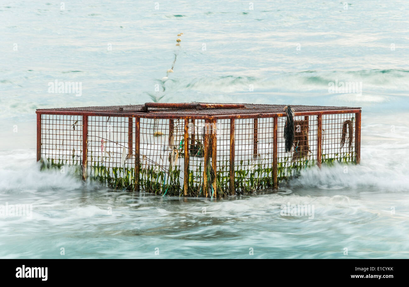 Garbage cage hi-res stock photography and images - Alamy