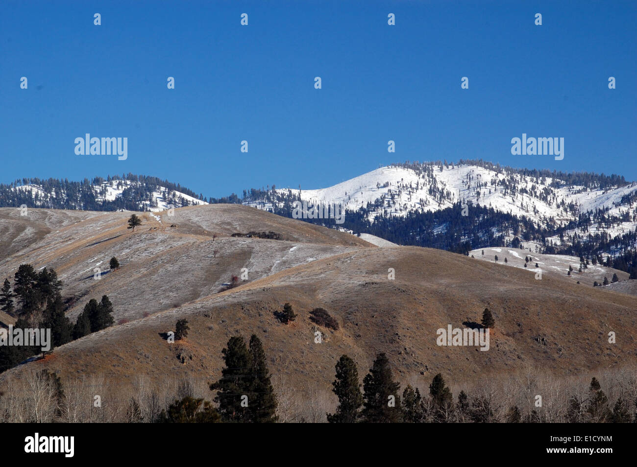 Bitterroot valley hi-res stock photography and images - Alamy