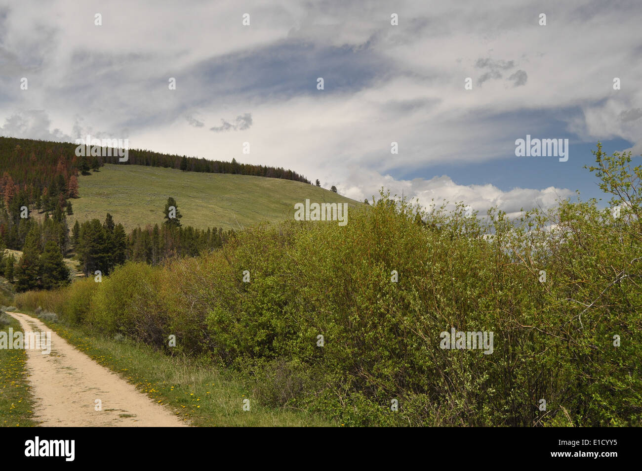The Big Hole National Battlefield preserves the site of the 1877 battle ...