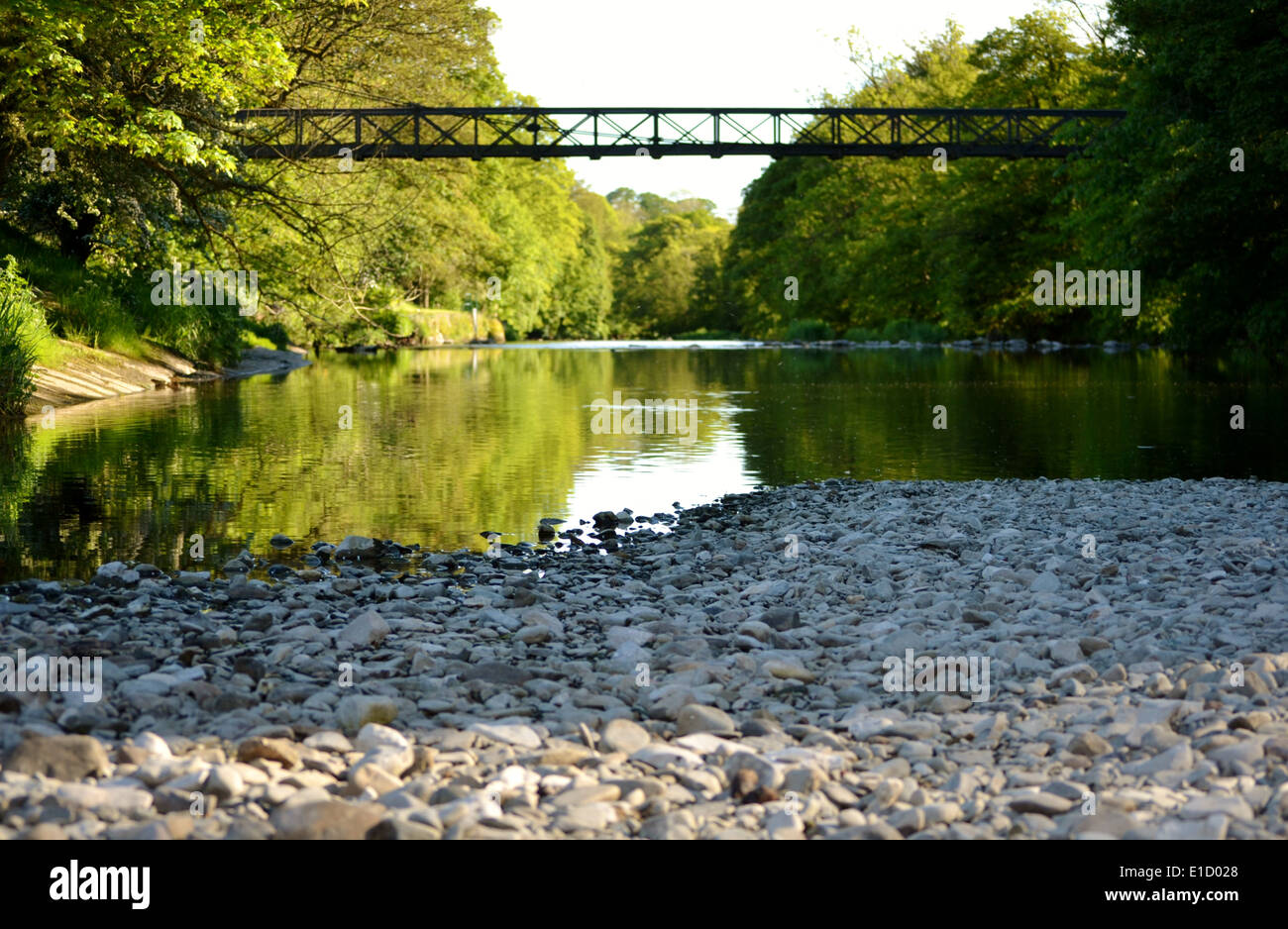 On the river Kent near Kendal, Cumbria with the suspension bridge in ...