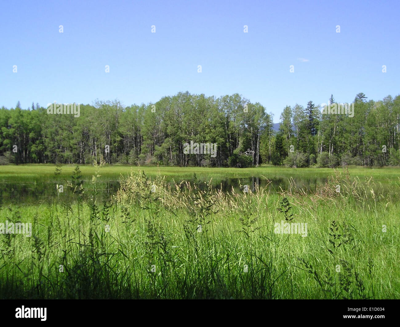 Tally lake hi-res stock photography and images - Alamy
