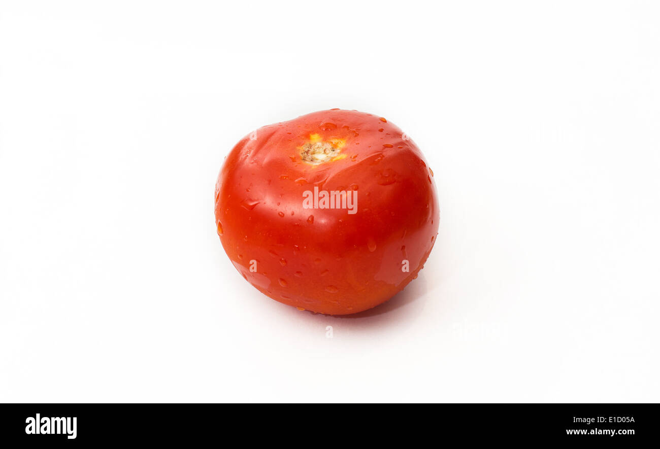 Isolated image of an over ripe red tomato. The tomato is soft to the ...
