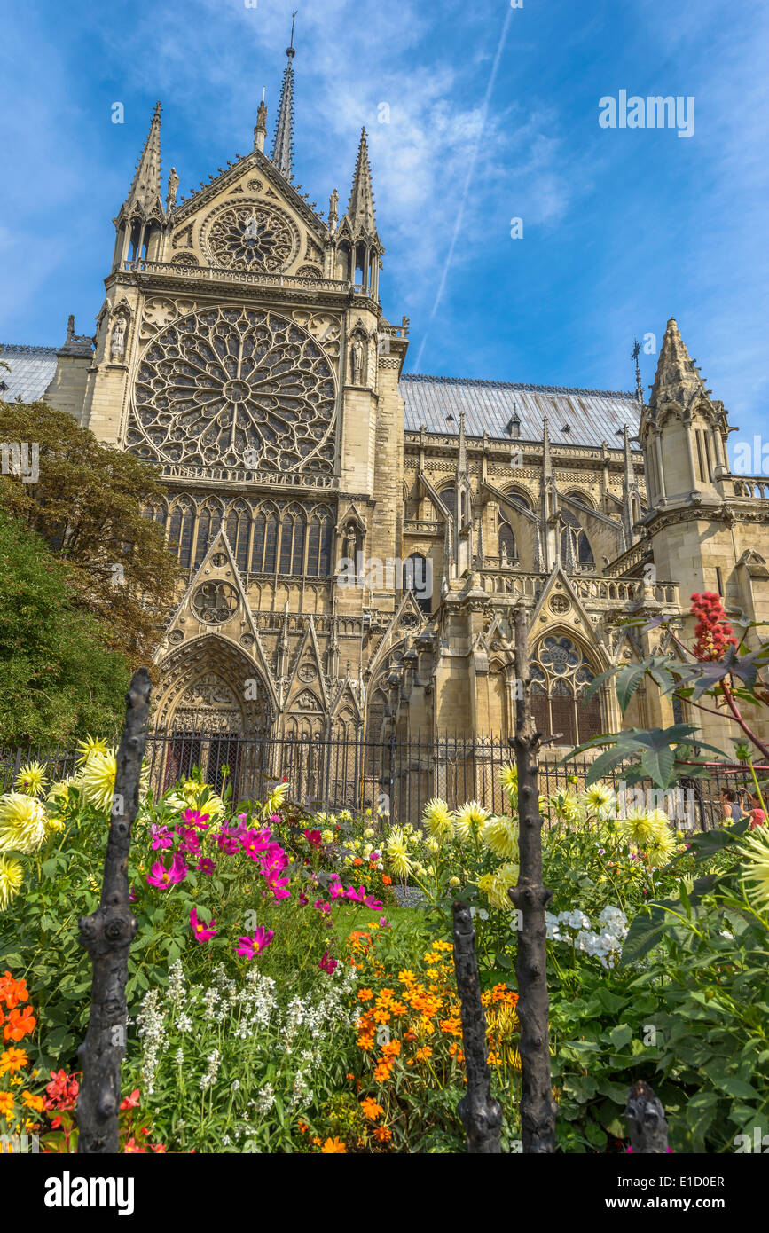 Notre-Dame de paris gardens in a summer sunny day in Paris, France ...