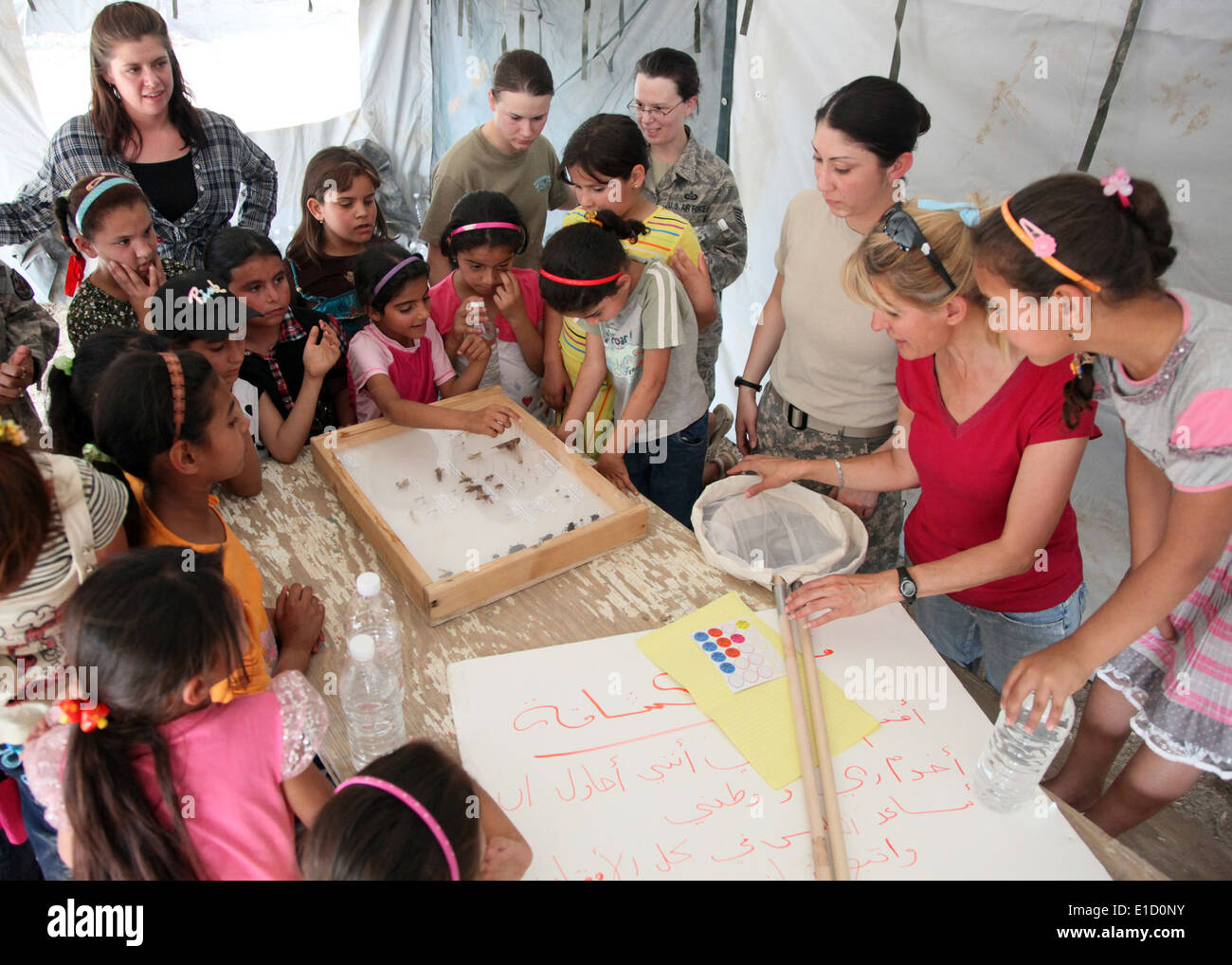 Iraqi Girl Scouts learn about bugs from an entomologist in Baghdad ...