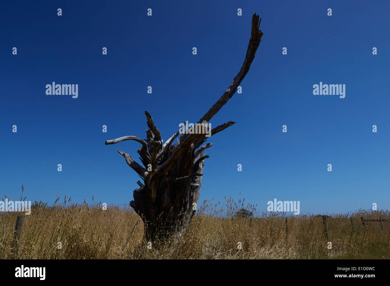 Australia outback wilderness hi-res stock photography and images - Alamy