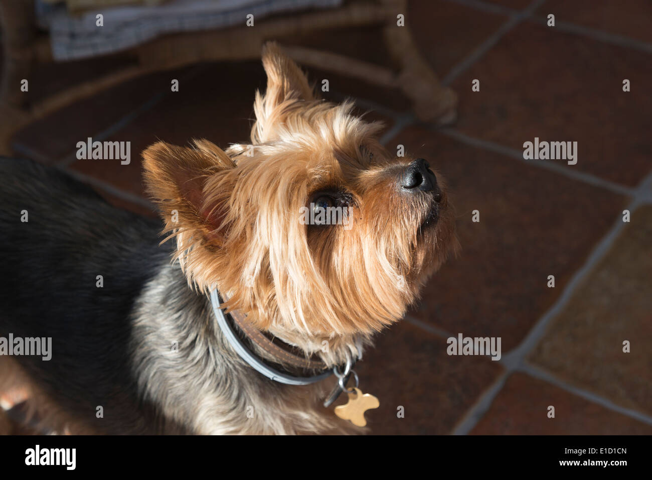 Appealing eyes hi-res stock photography and images - Alamy