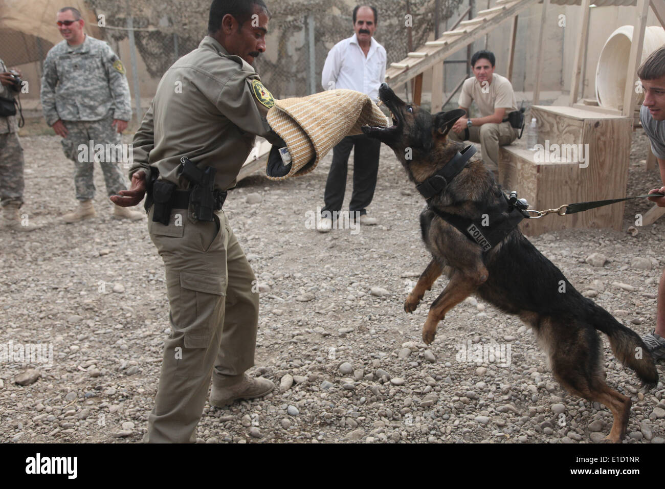 Iraqi police officer Sajad Mohammed works with a military working dog ...