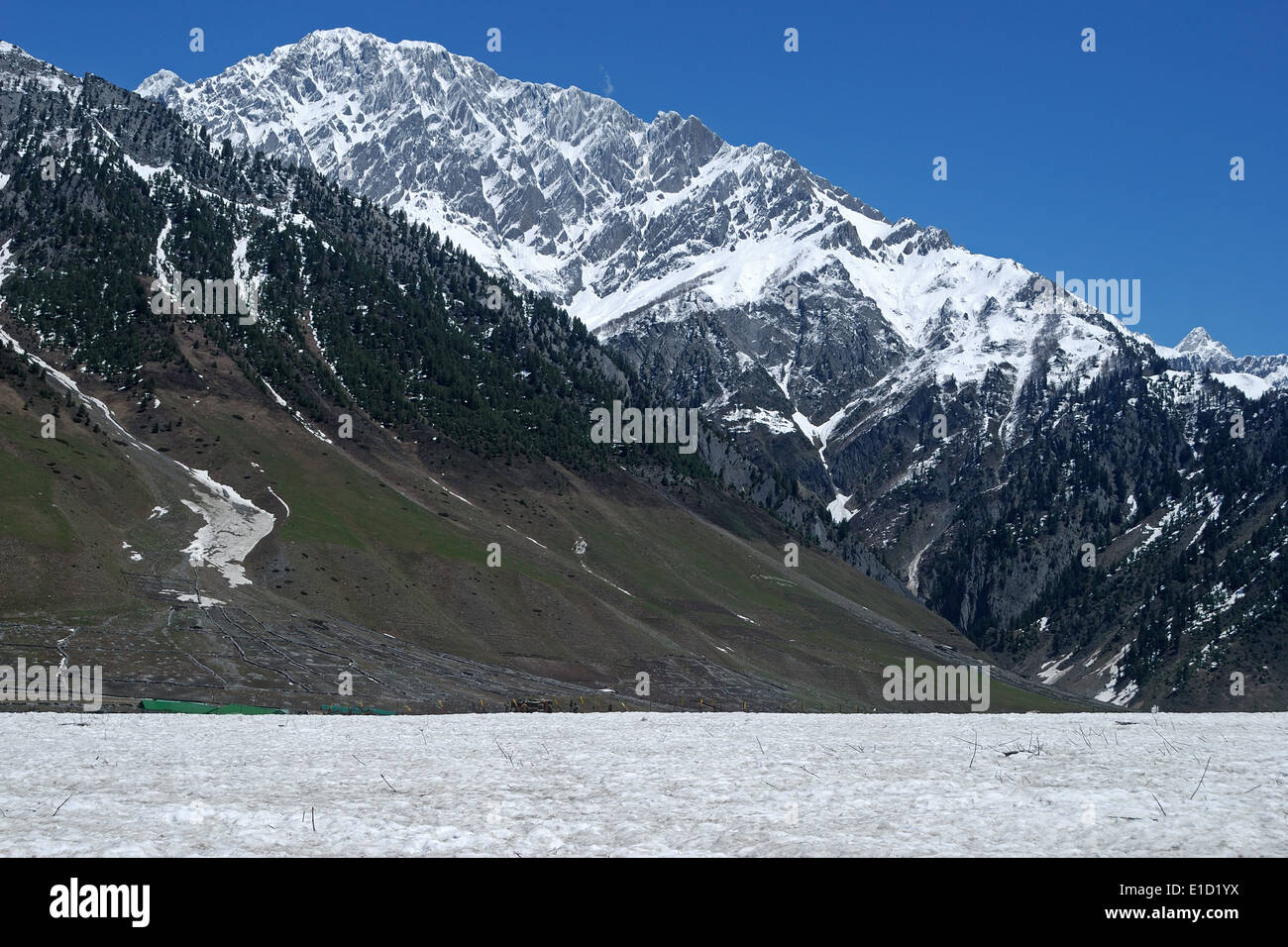 a landscape from himalaya region of kashmir,india Stock Photo - Alamy