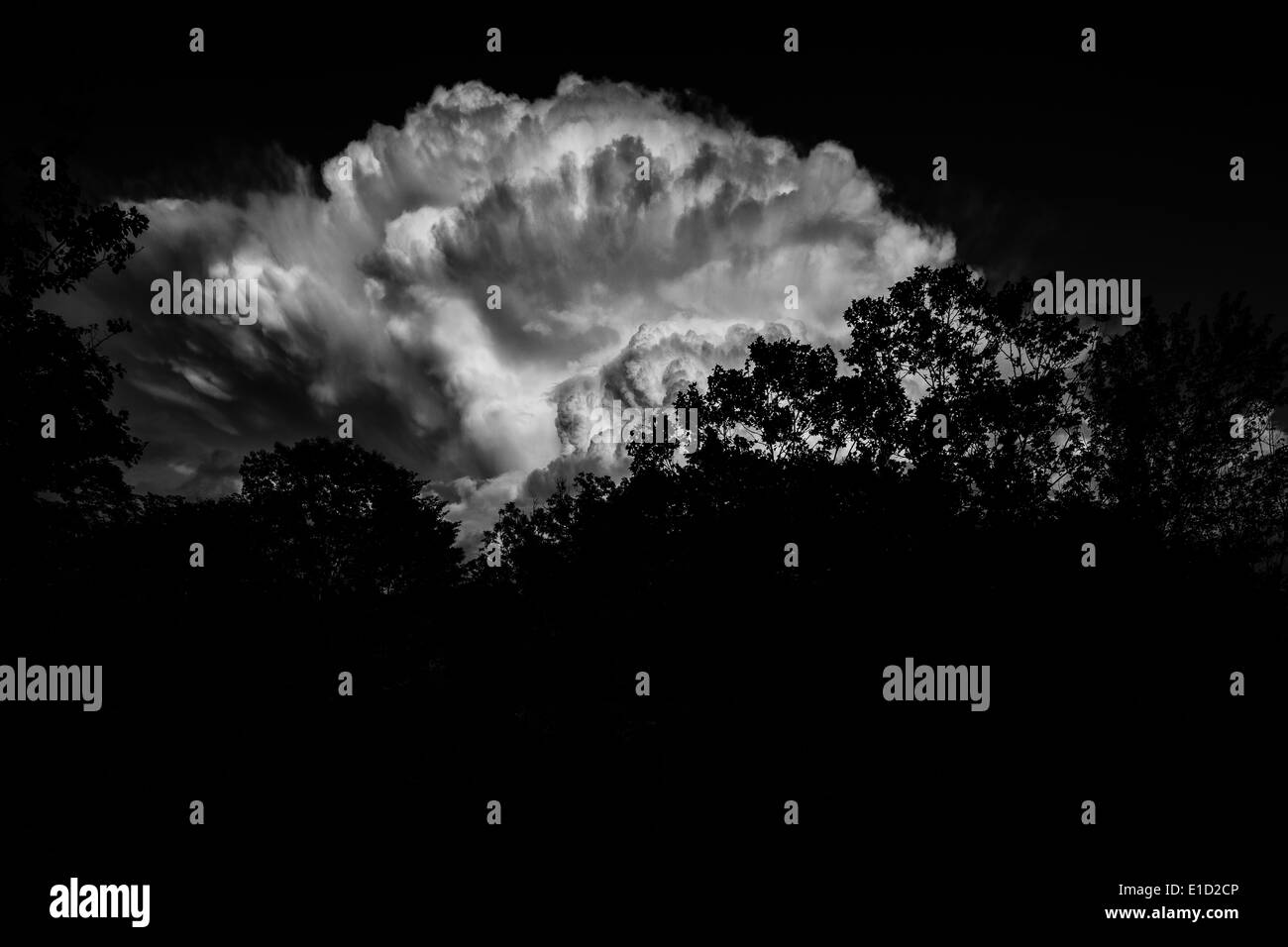 Cloud over Trees Stock Photo - Alamy