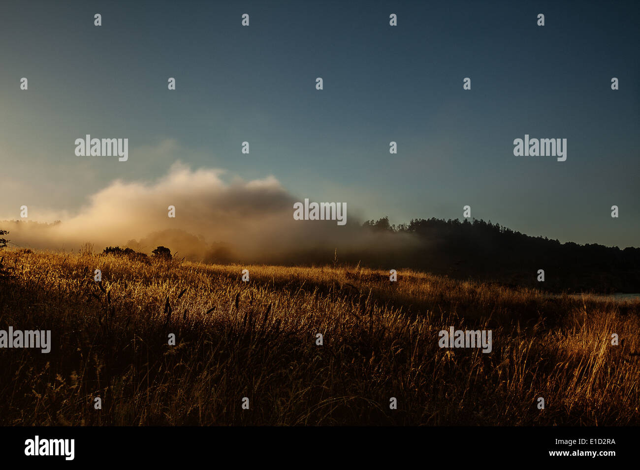 Low Cloud at dawn Stock Photo - Alamy