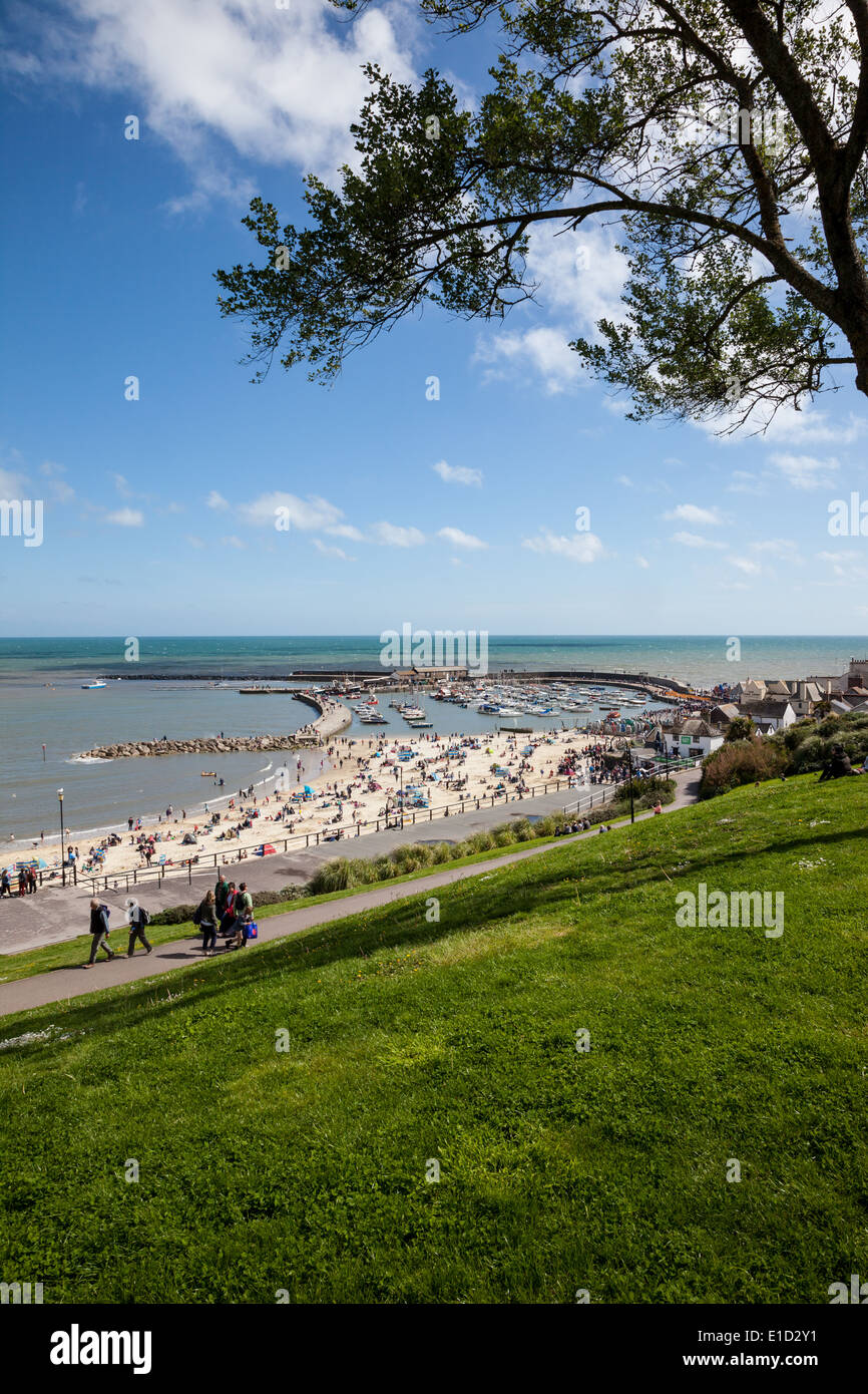 Overlooking The Cobb, the harbour and beach at Lyme Regis, Dorset Stock ...