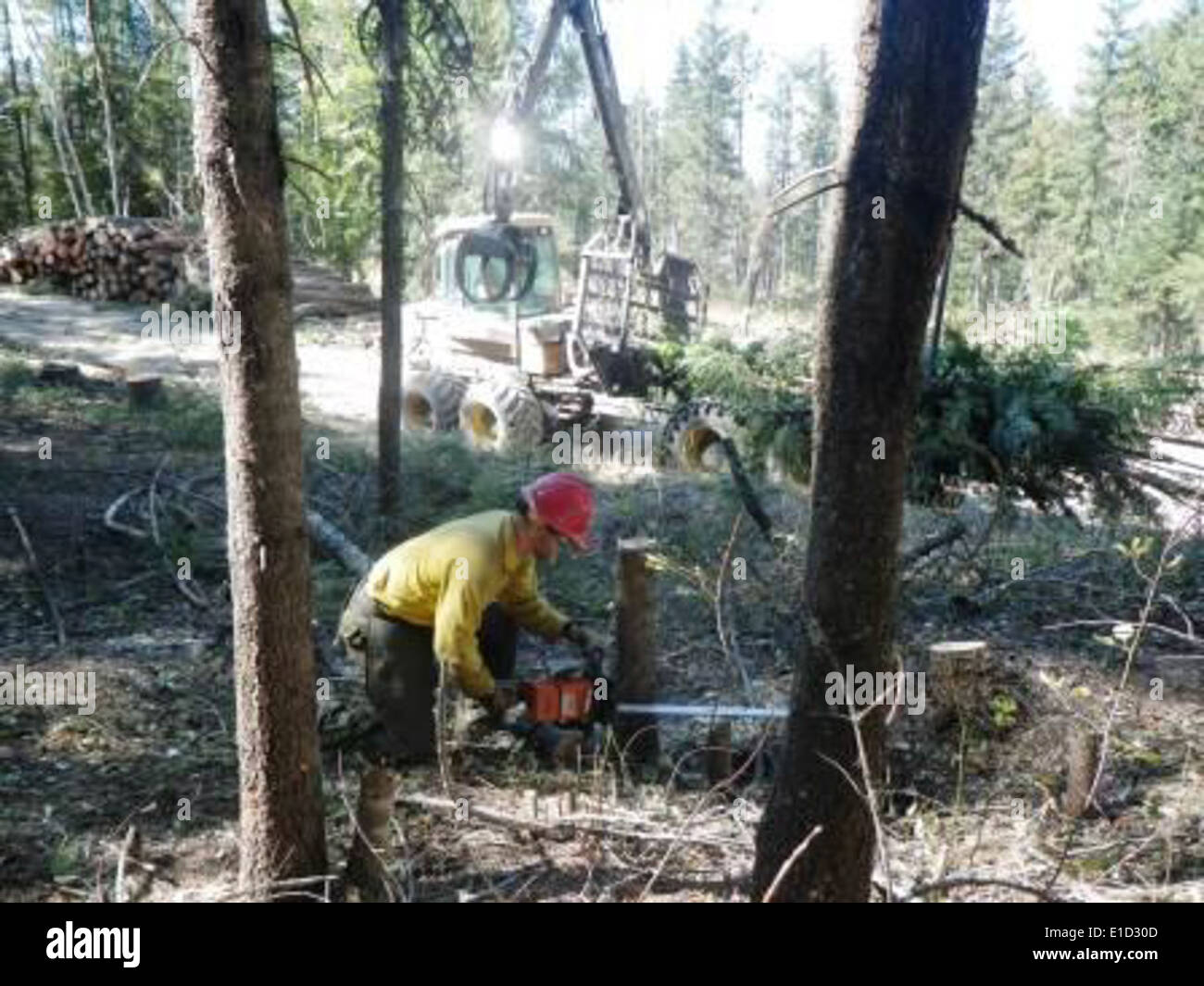 A fire fighter and heavy equipment operator work together to build a ...