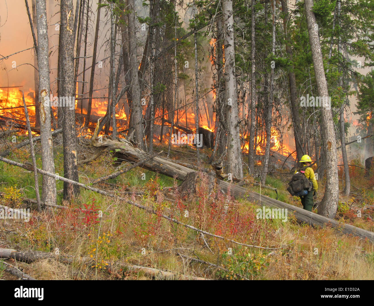 Removing fuel for fire hi-res stock photography and images - Alamy