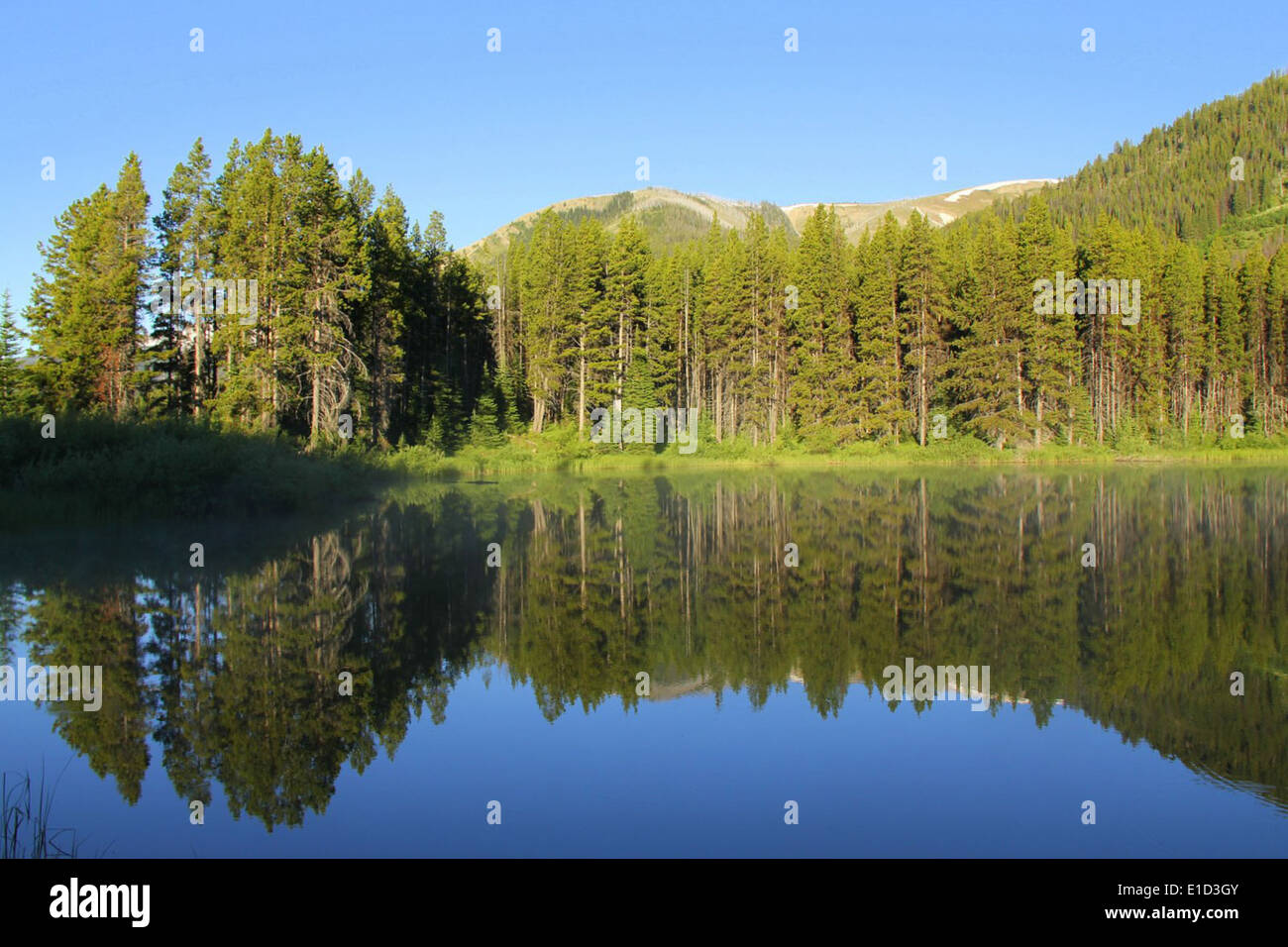 A calm pond reflects the serene landscape of Bugle Mountain in the ...