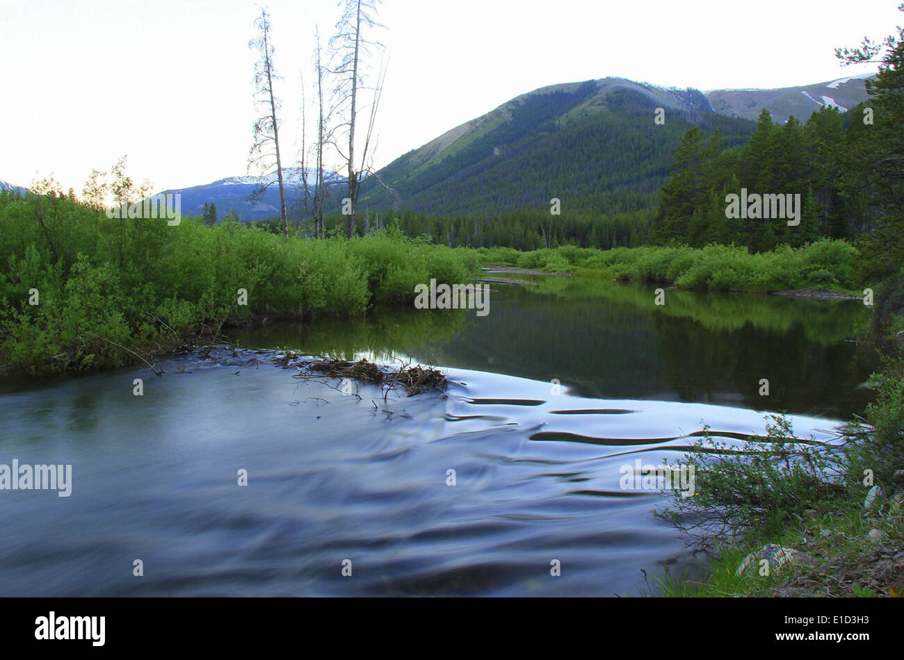 Meadow Creek in the Helena National Forest is located near the ...
