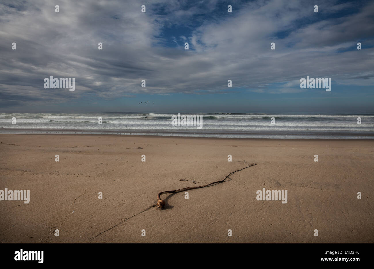 Central pacific beach hi-res stock photography and images - Alamy