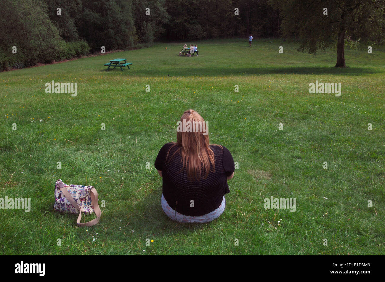 People Enjoying The Summer Sun In A Country Park Stock Photo - Alamy
