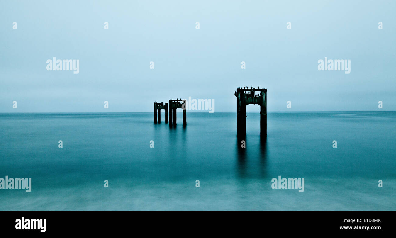 Ocean pier ruins birds hi-res stock photography and images - Alamy