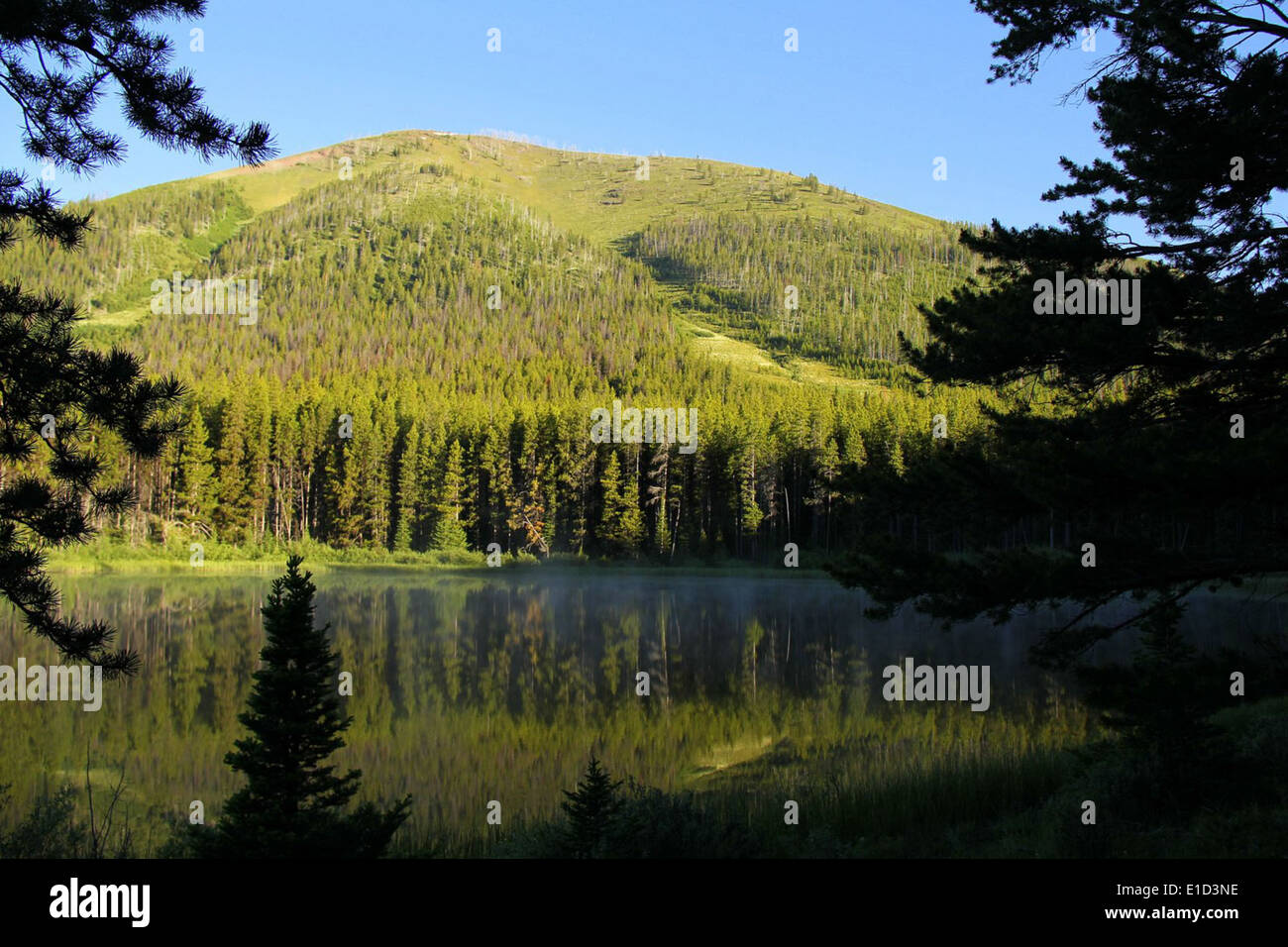 Bugle Mountain in the Helena National Forest, within the Scapegoat ...