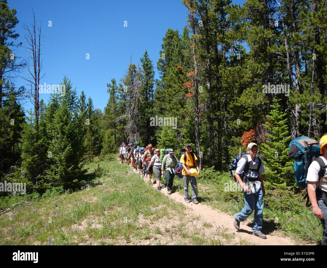 Students participating in the Youth Forest Monitoring Program hike ...