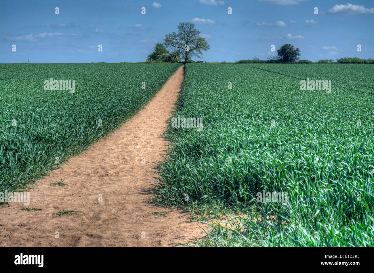 Rural pathway hi-res stock photography and images - Alamy
