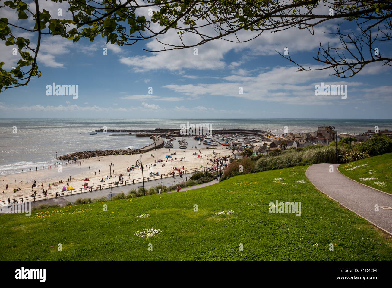 The Cobb, harbour and beach at Lyme Regis, Dorset Stock Photo - Alamy