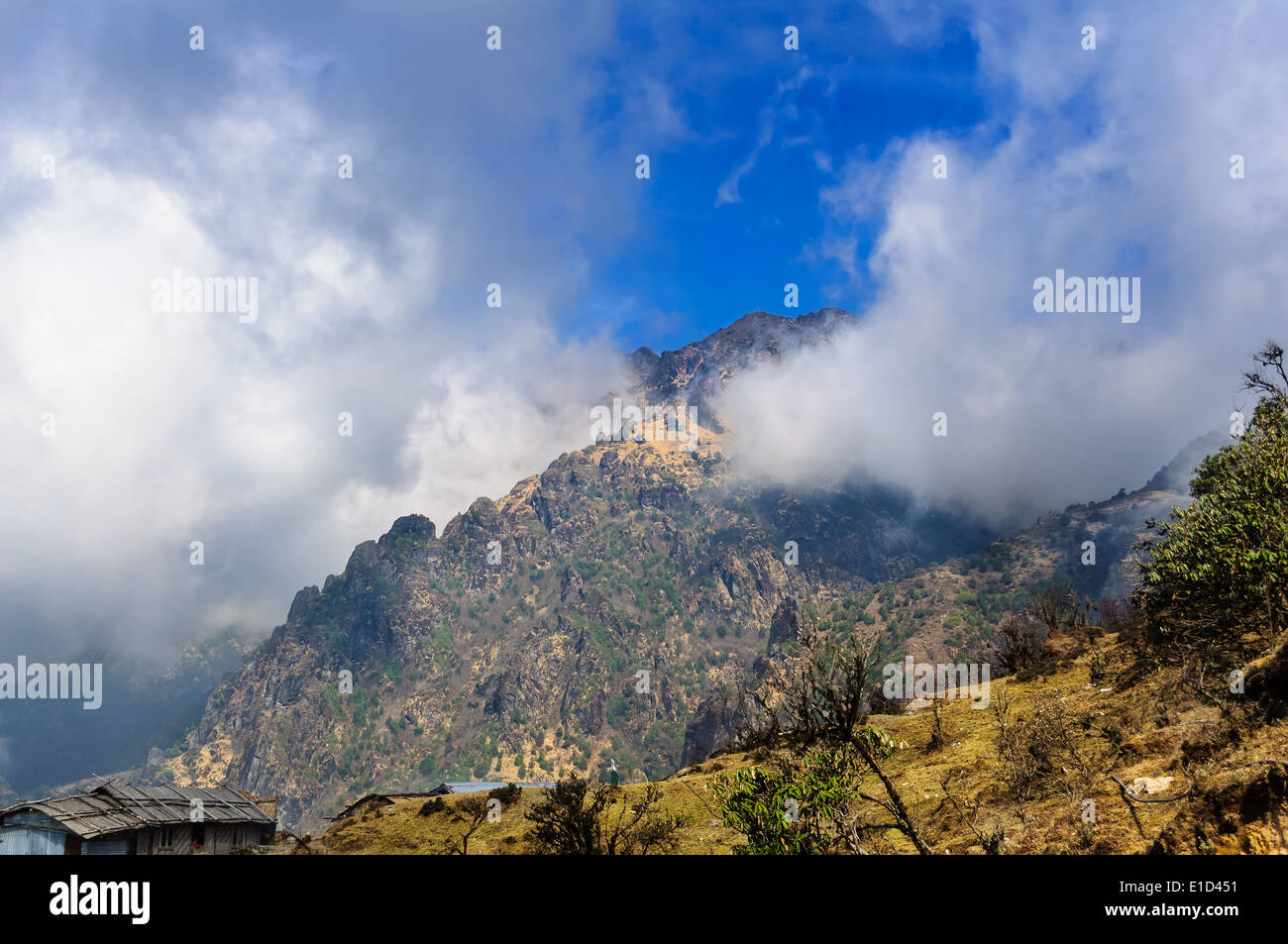 Landscape, Mountainscape on trekking path to Sandkphu, descending cloud ...