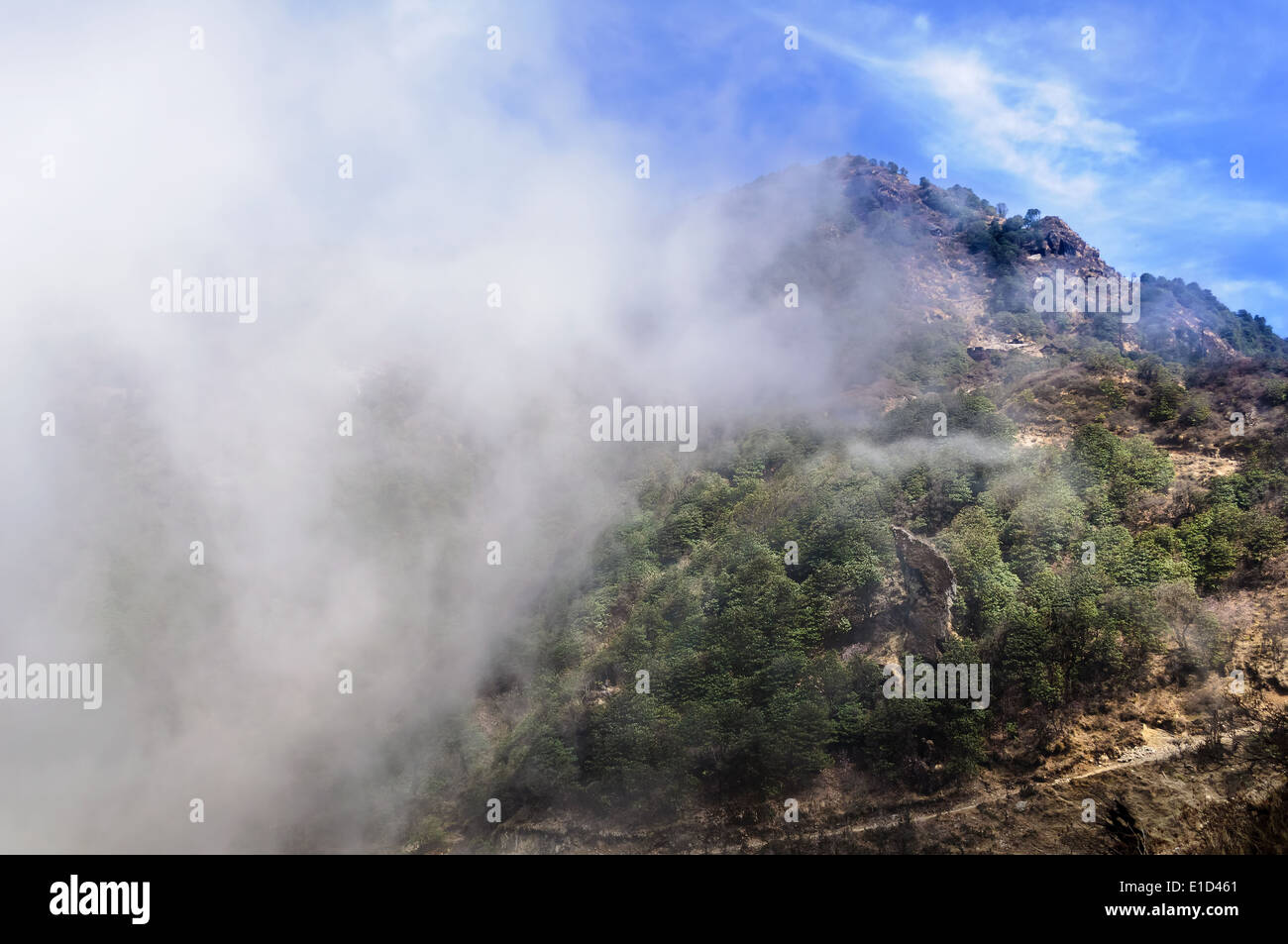 Landscape, Mountainscape on trekking path to Sandkphu, descending cloud ...