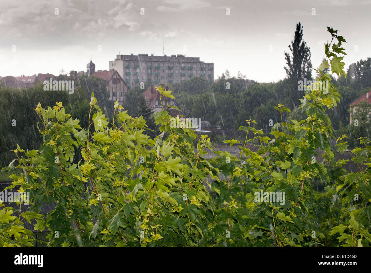 Poland heavy rain hi-res stock photography and images - Alamy
