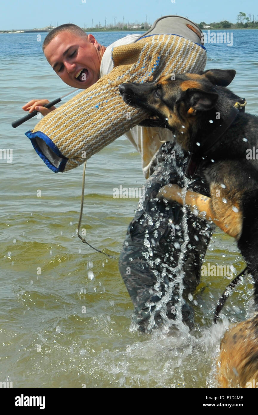 Britta, a military working dog, bites U.S. Air Force Staff Sgt. Roberto ...