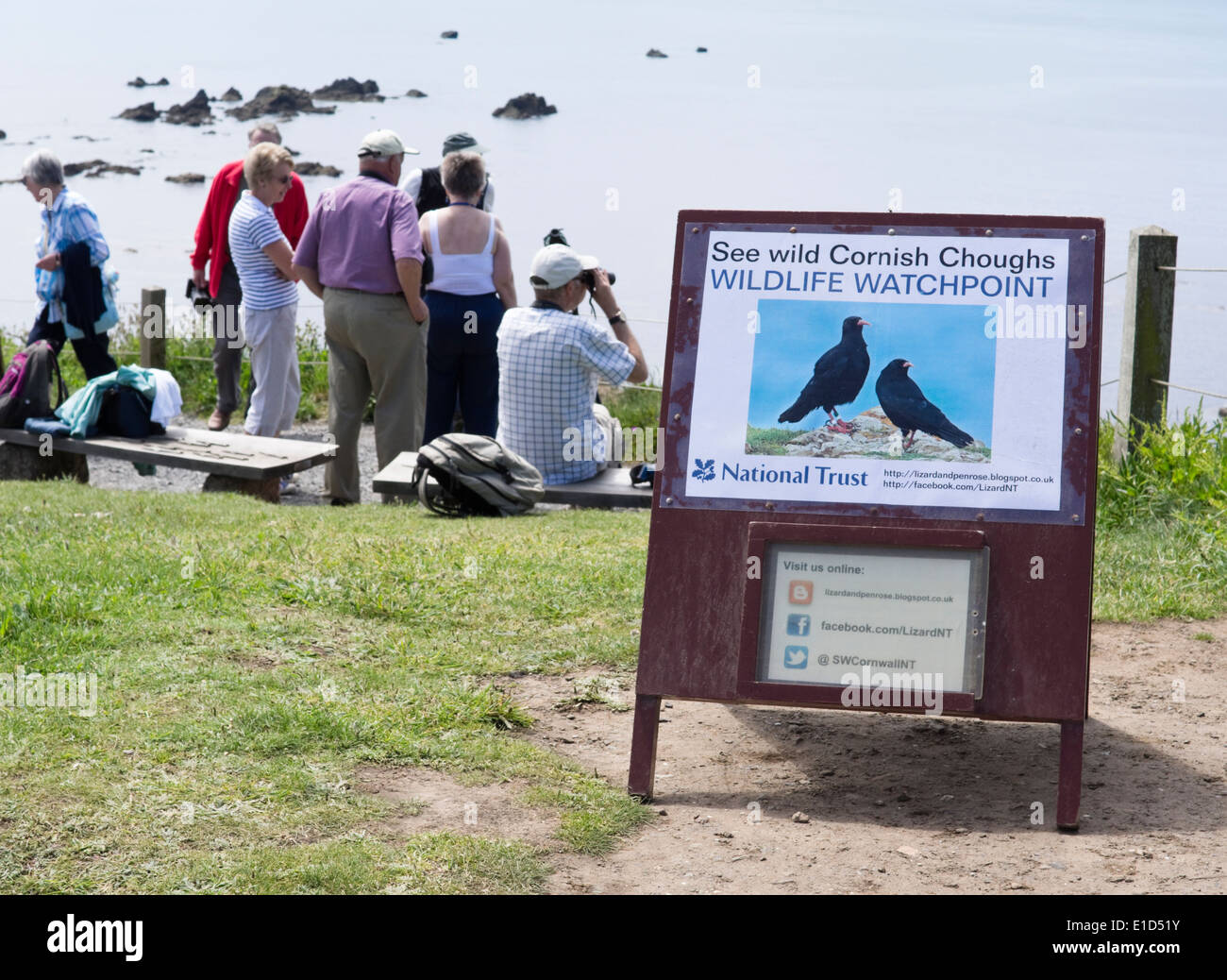 Rare bird watching hi-res stock photography and images - Alamy