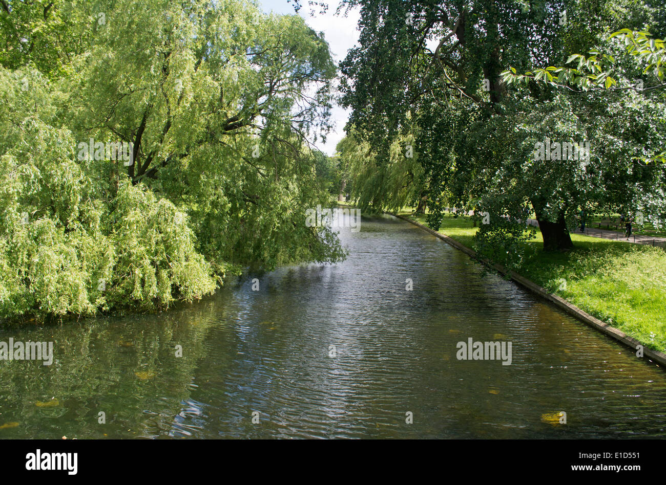 Trees overhanging a lake in Regents Park London Stock Photo - Alamy