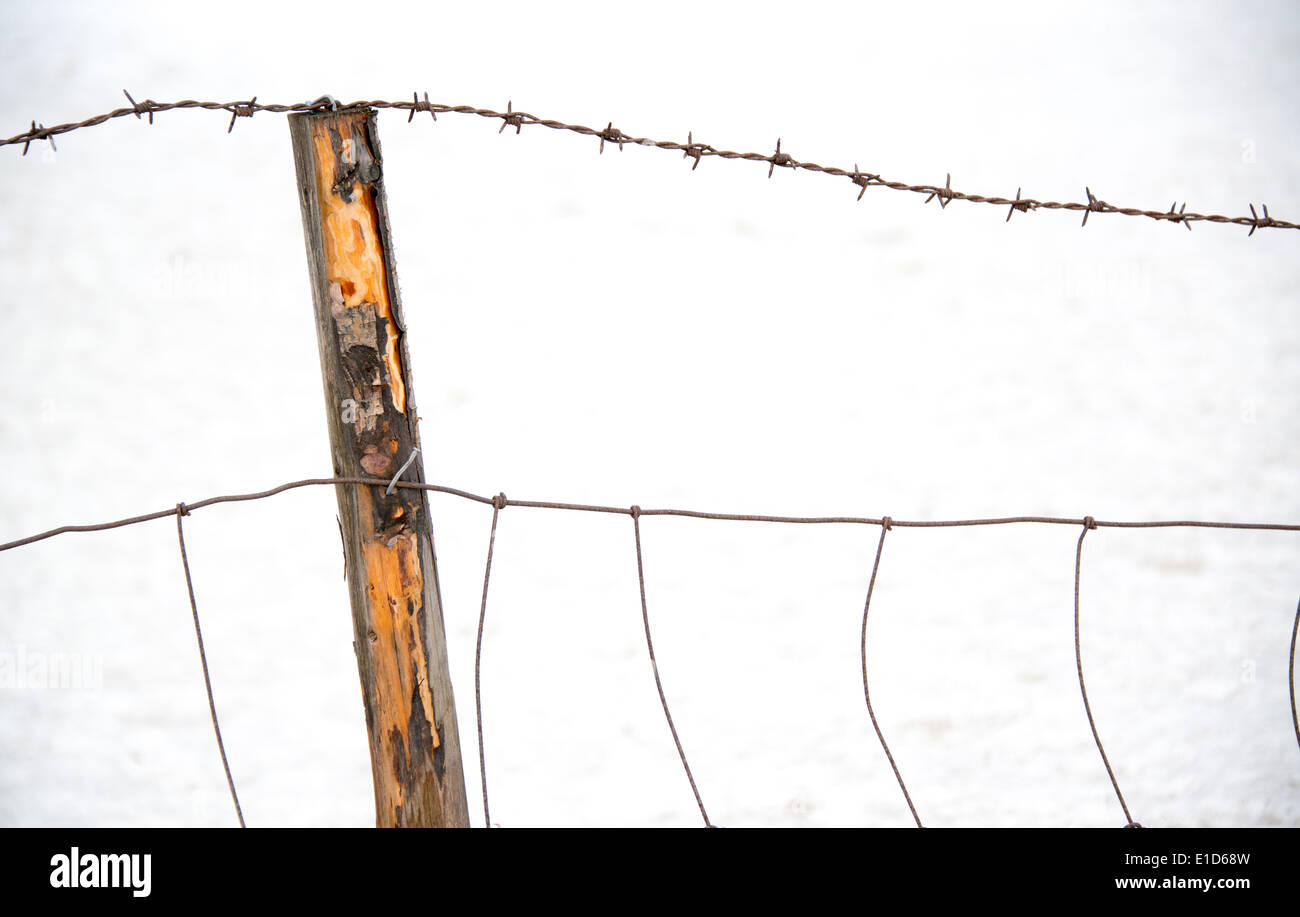 Pole with barbed wire Stock Photo - Alamy