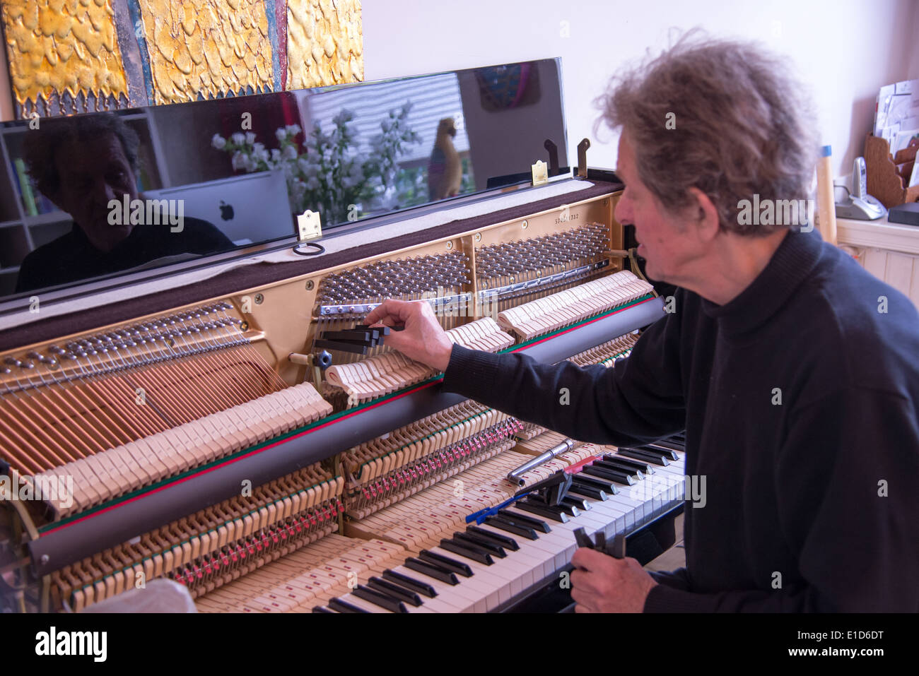 tuner at work with ratchet on piano Stock Photo - Alamy