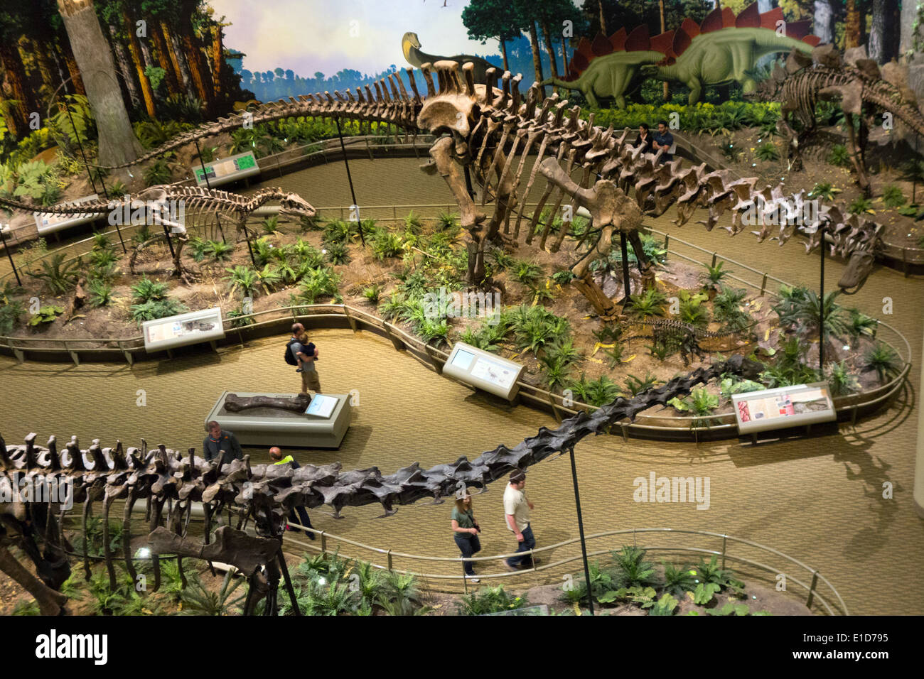 Carnegie museum of natural history in Pittsburgh PA Stock Photo - Alamy
