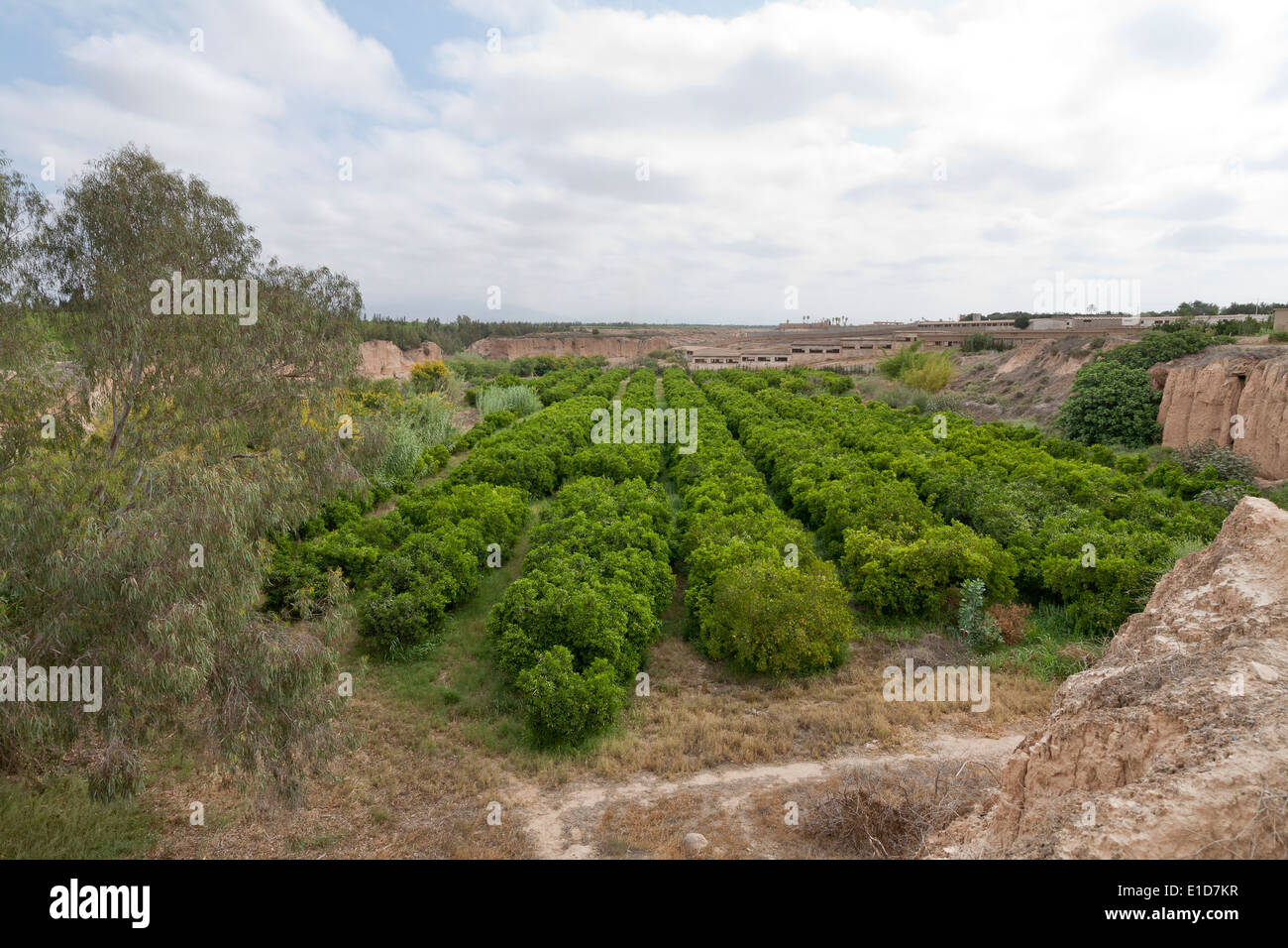 Strip farming hi-res stock photography and images - Alamy