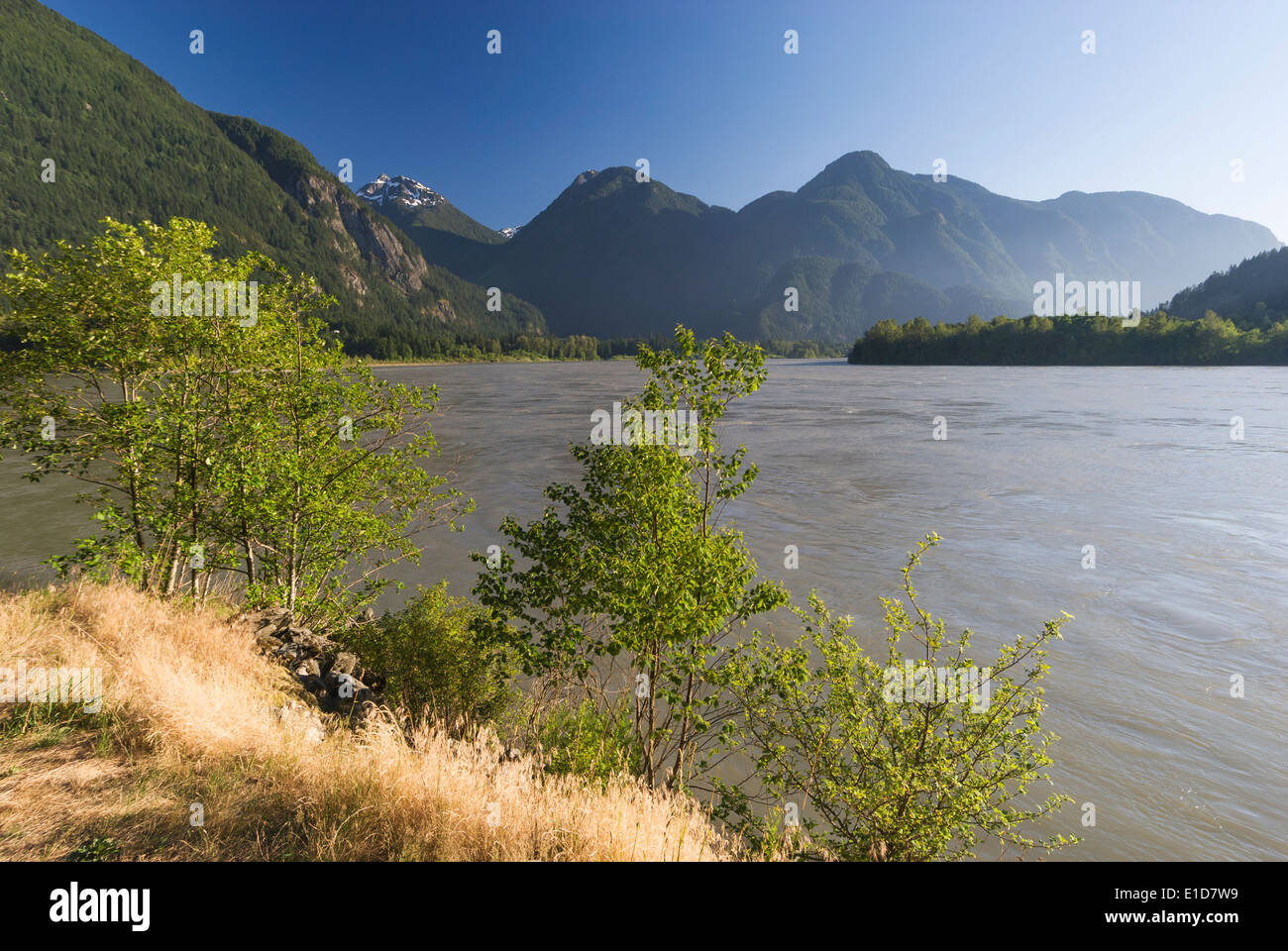 Fraser river british columbia hi-res stock photography and images - Alamy