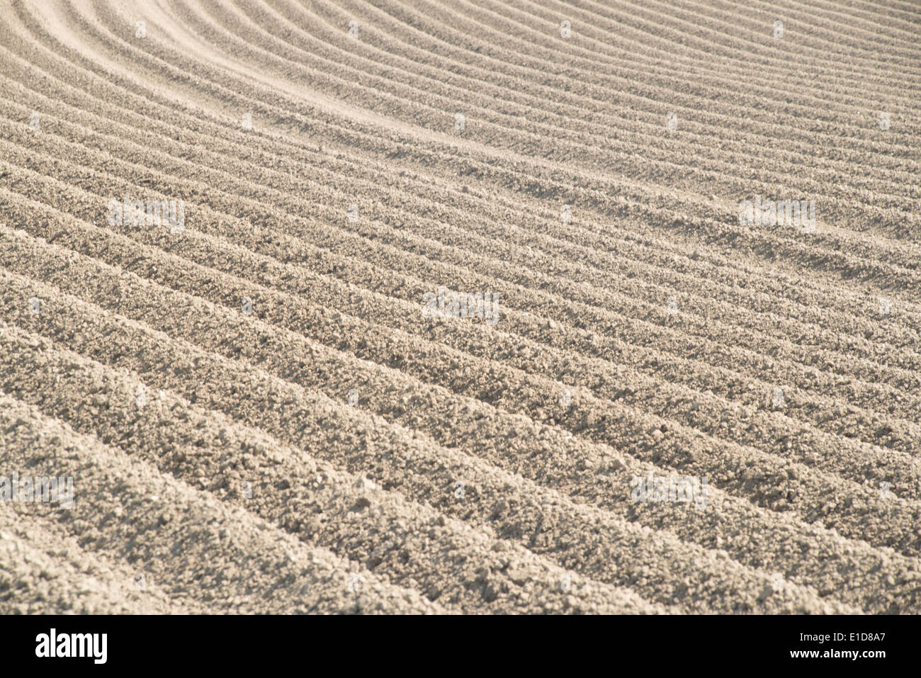 Field pattern hi-res stock photography and images - Alamy