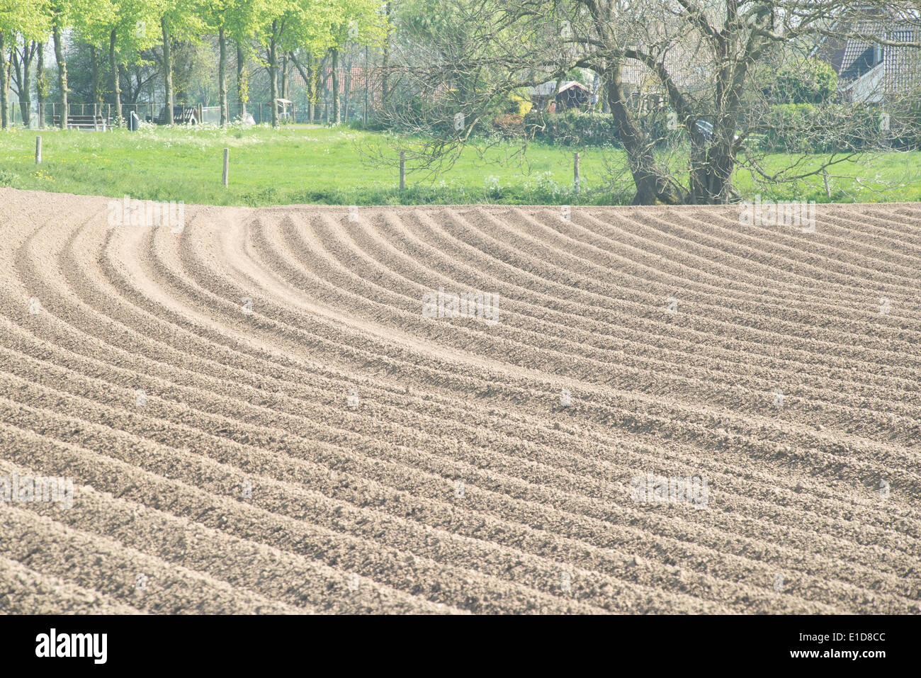 Field pattern hi-res stock photography and images - Alamy