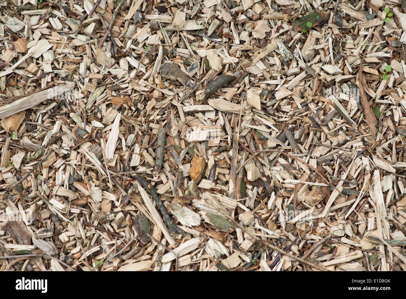 soil covered with wood chips Stock Photo - Alamy soil covered with wood chips Stock Photo - Alamy