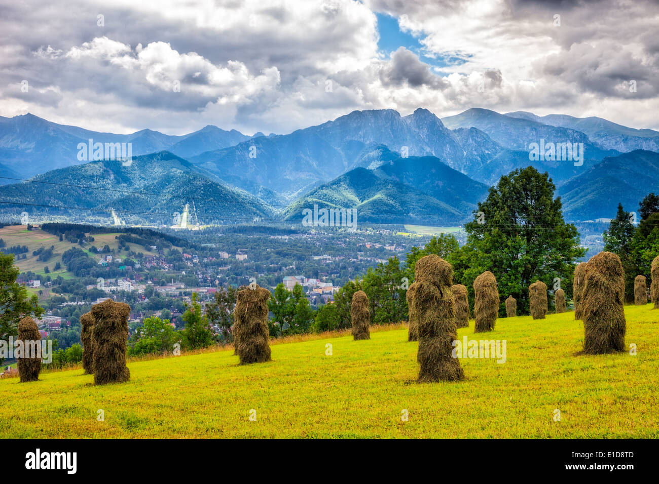 Polish wheat field hi-res stock photography and images - Alamy