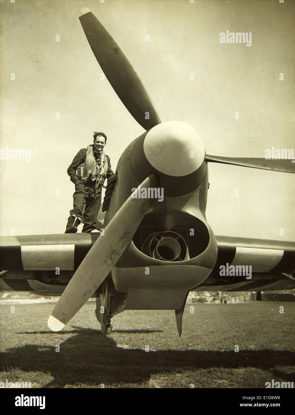 Raf ww2 hawker typhoon hi-res stock photography and images - Alamy
