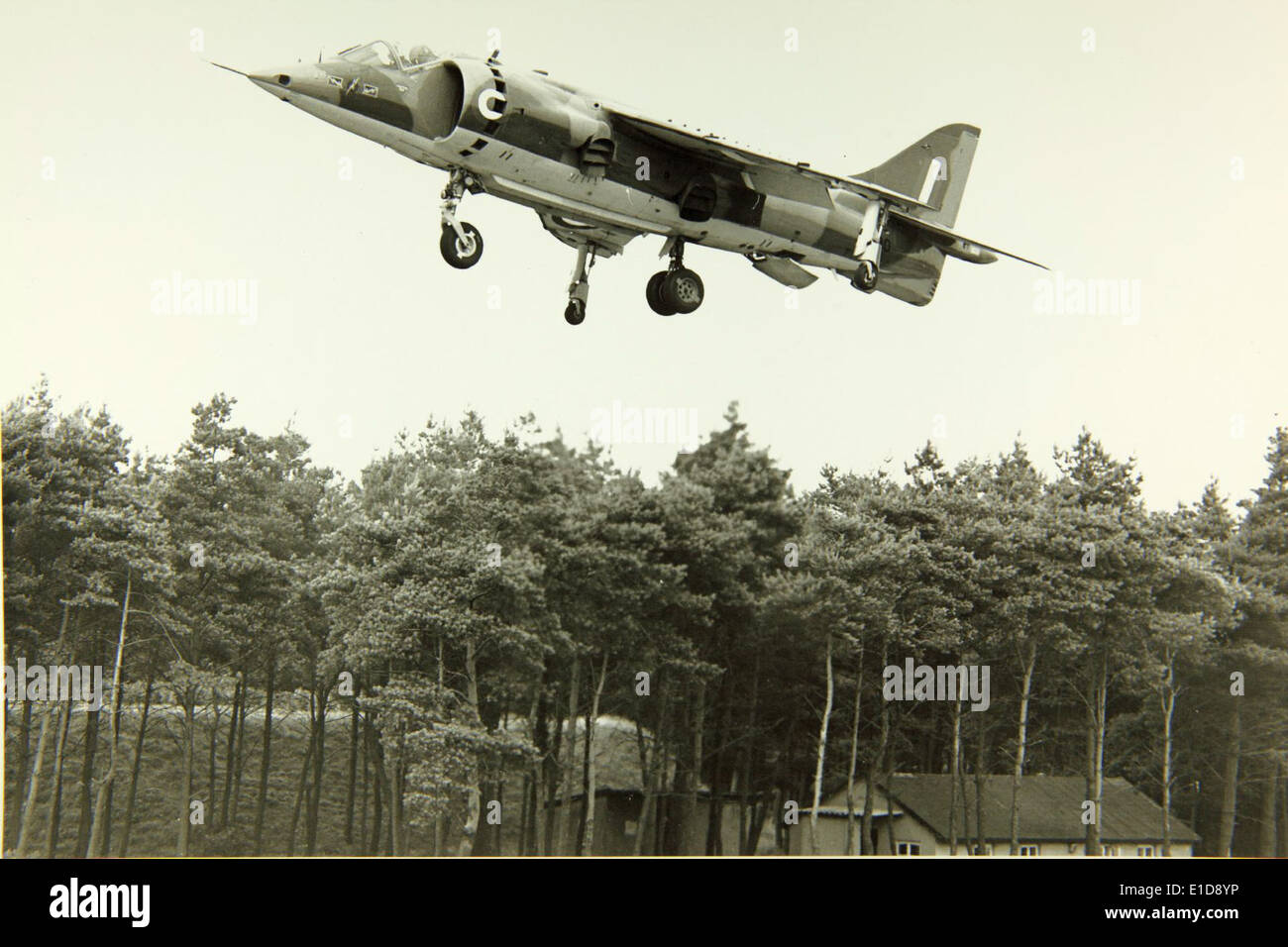 Av 8a Harrier High Resolution Stock Photography and Images - Alamy