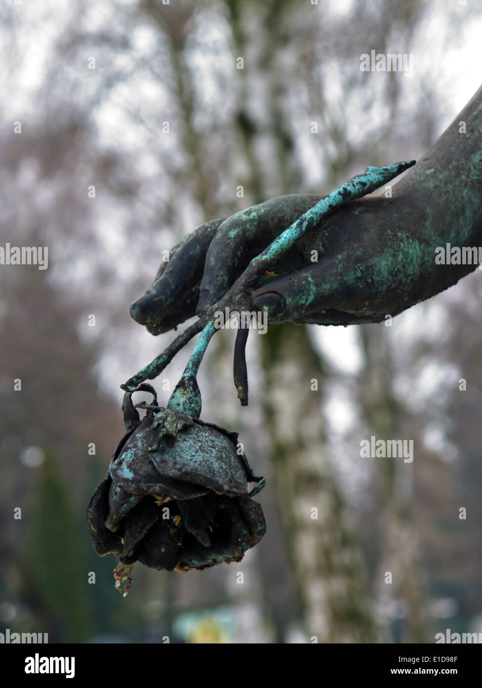 Hand of a statue on a cemetery with a rose. Loneliness and dying Stock ...