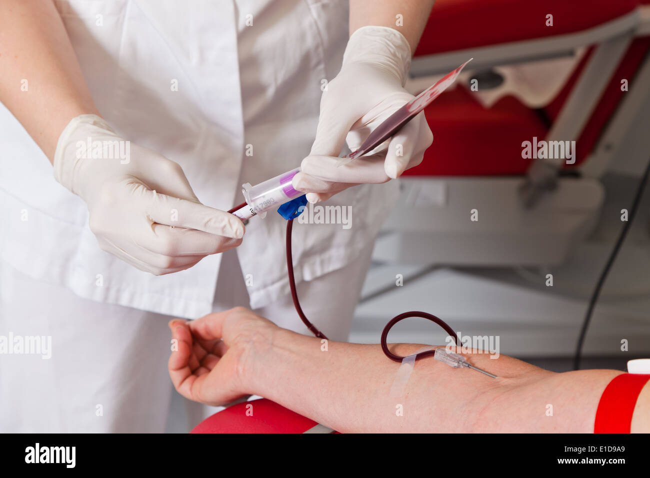 Nurse and patient taking a blood sample. Donated blood in blood lab ...